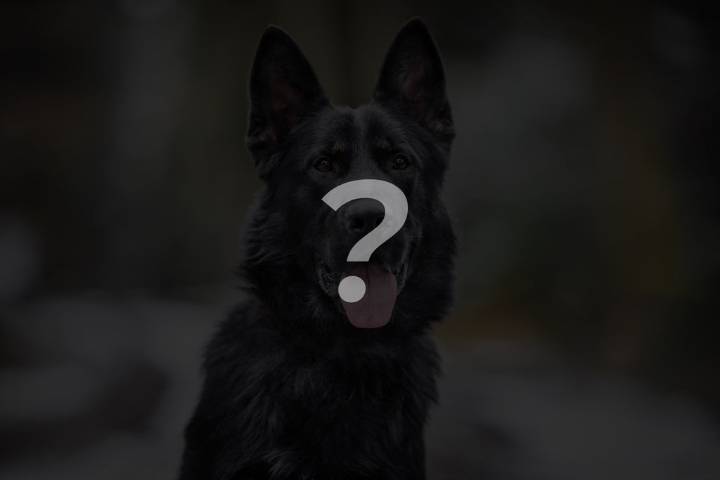 Monty LAB | VENOOM™ - Official Site