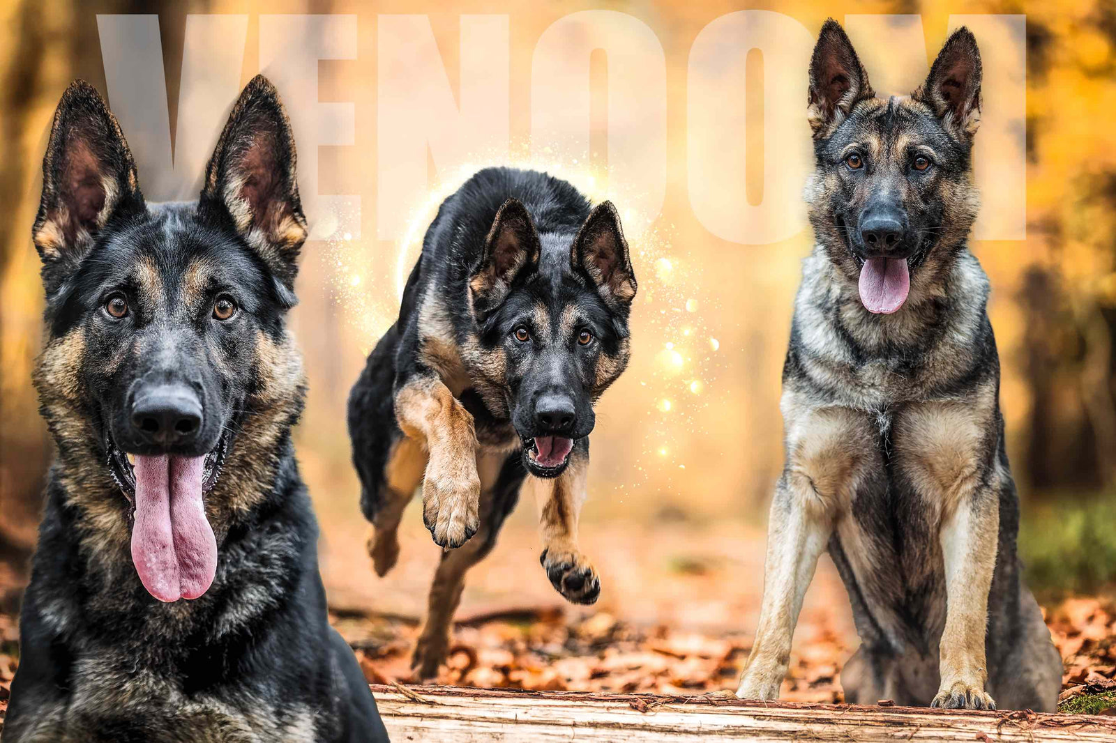 VENOOM™ - Official Site